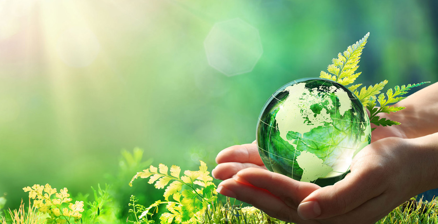 Sustainability - Radiant Packaging Industry